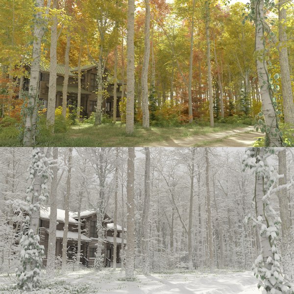 Free 3D Forest Models | TurboSquid