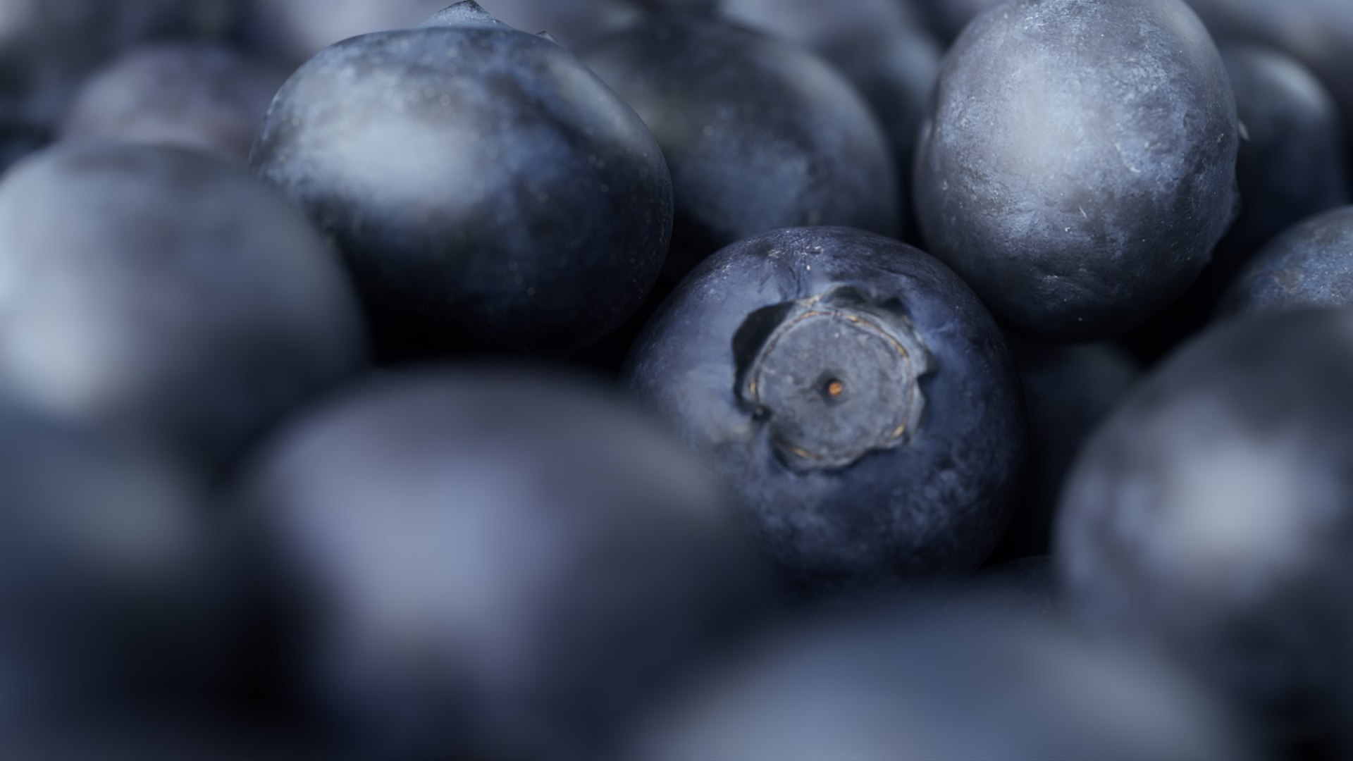 Blueberries - 4 Variations 3D Model - TurboSquid 1904348