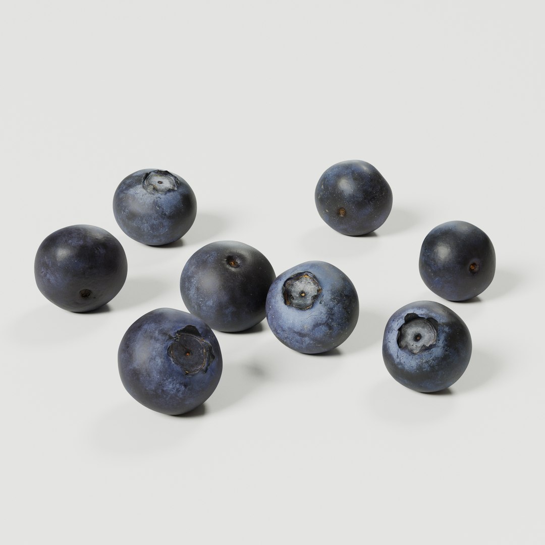Blueberries - 4 Variations 3D Model - TurboSquid 1904348