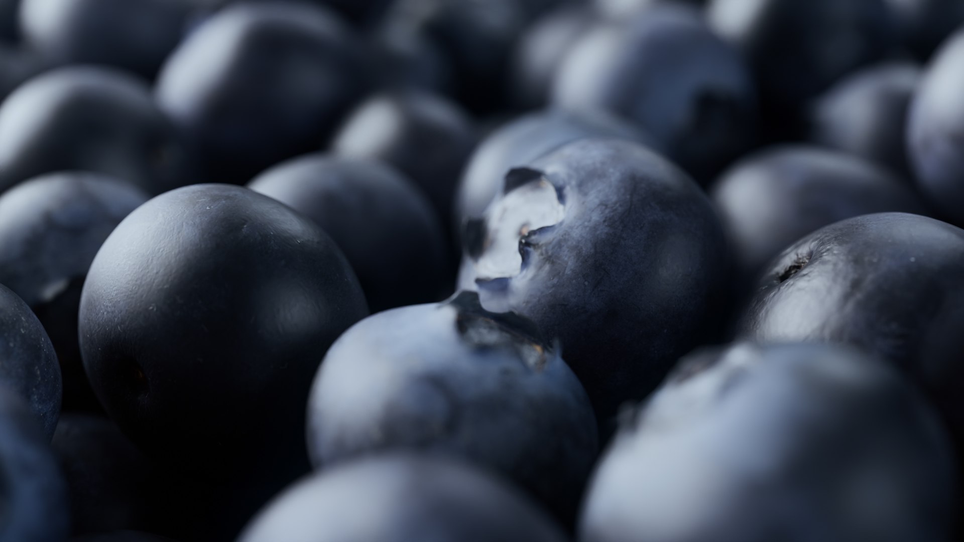 Blueberries - 4 Variations 3D Model - TurboSquid 1904348