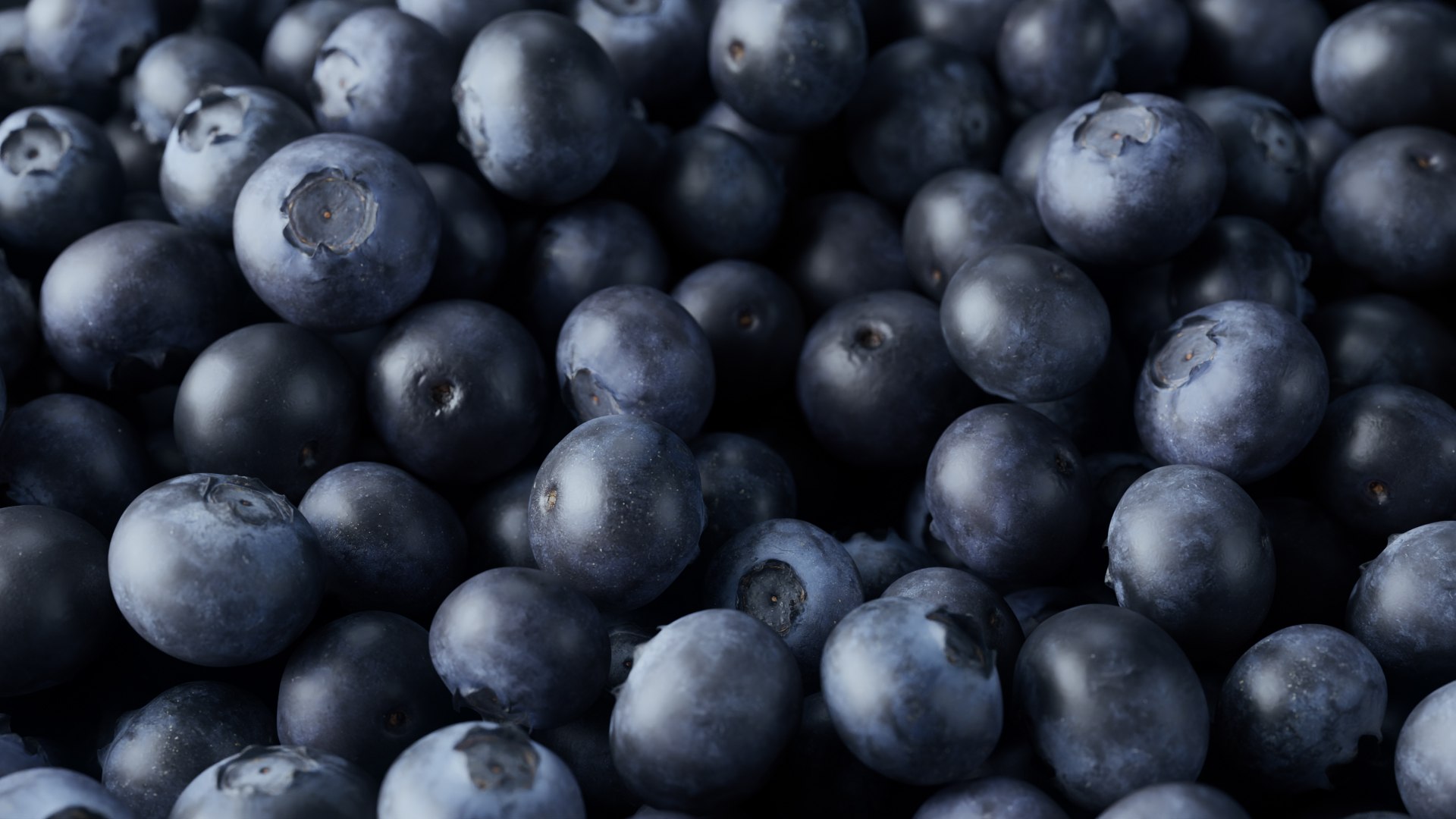 Blueberries - 4 Variations 3D Model - TurboSquid 1904348