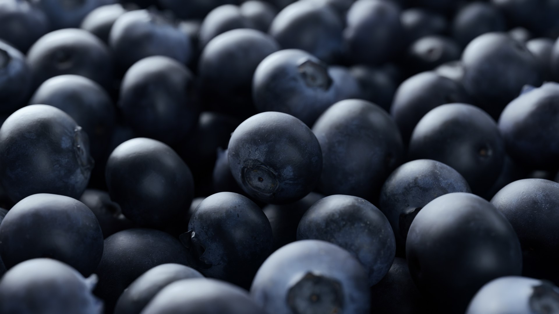 Blueberries - 4 Variations 3D Model - TurboSquid 1904348