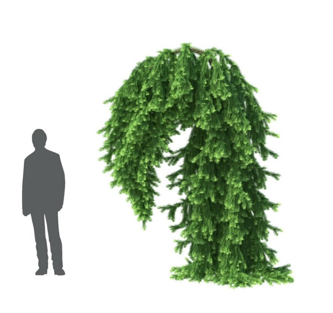 3D Model XfrogPlants HDTrees 6 - TurboSquid 1724826