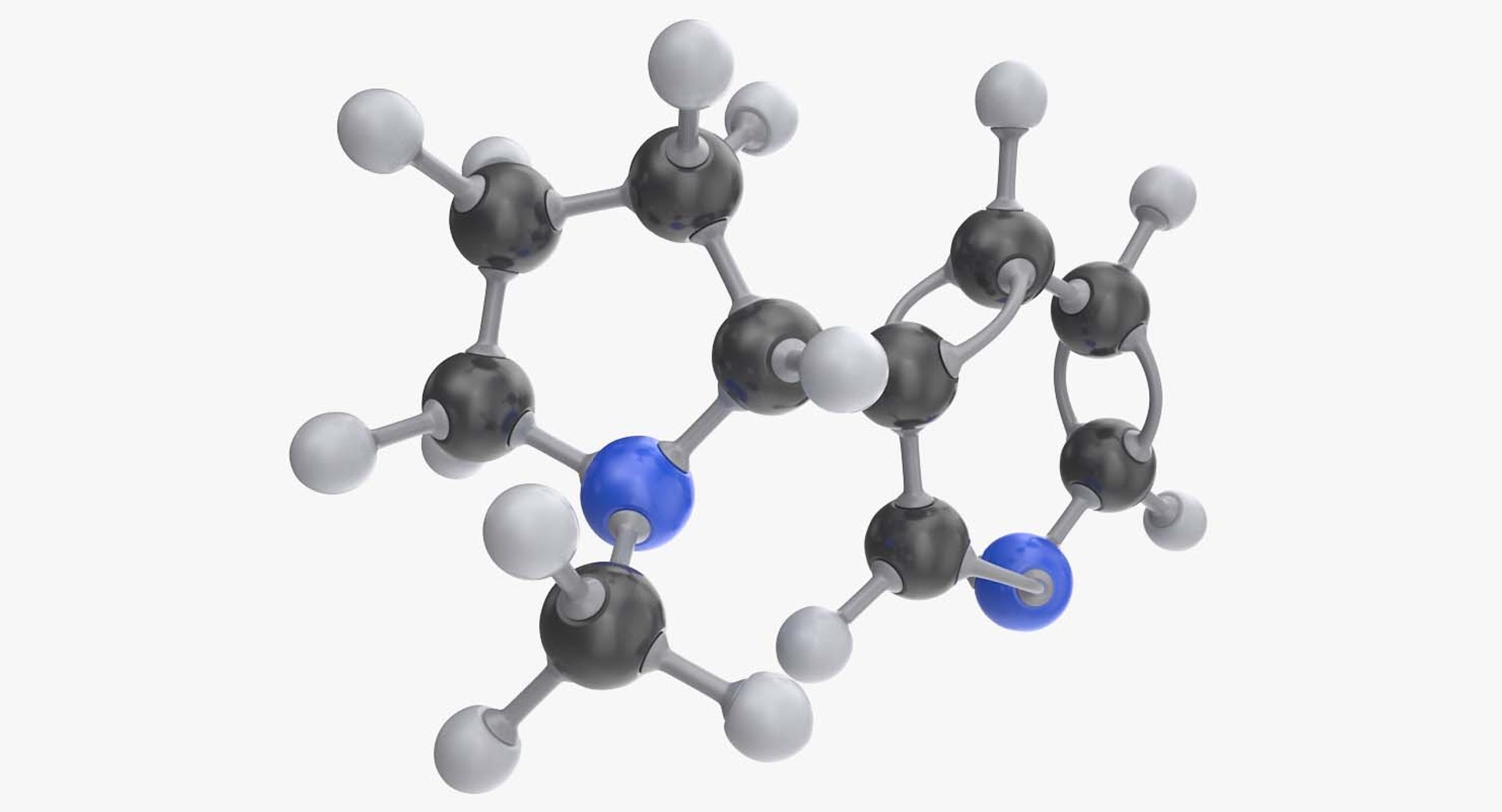 Nicotine Molecule 3d Model