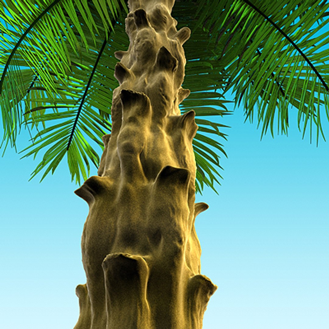 3d Model Palm Tree