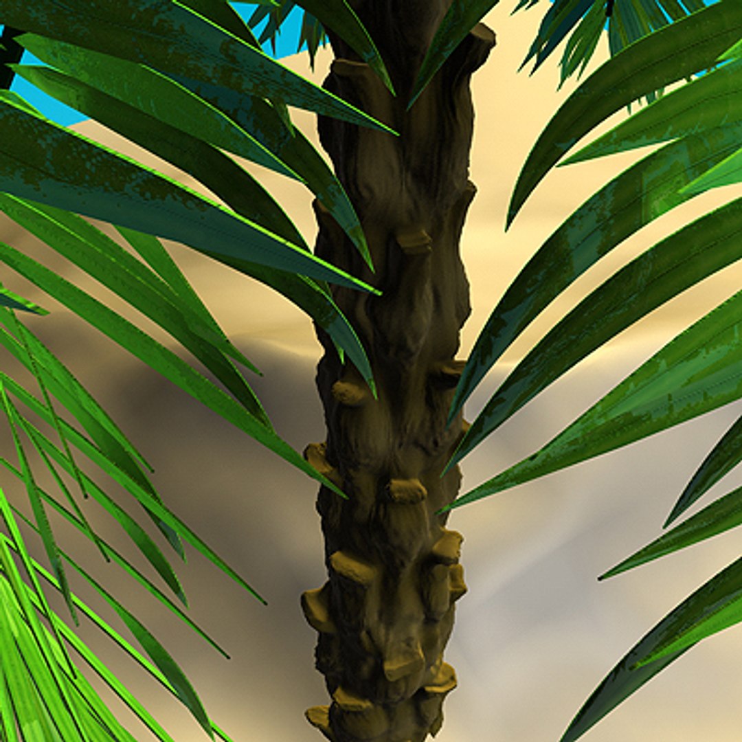 3d Model Palm Tree