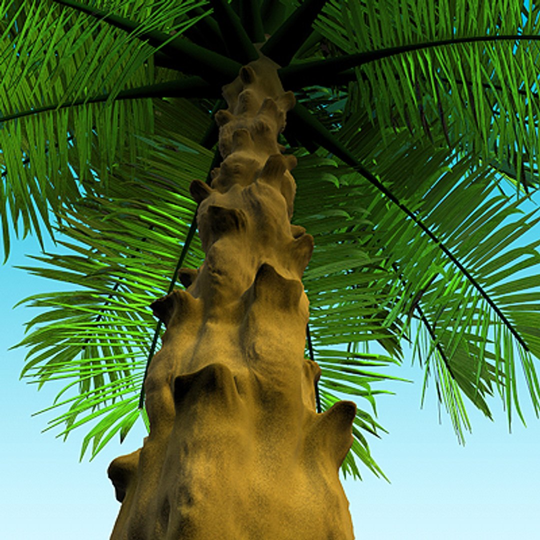3d Model Palm Tree