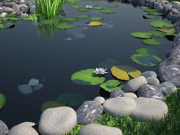 max pond materials modeled