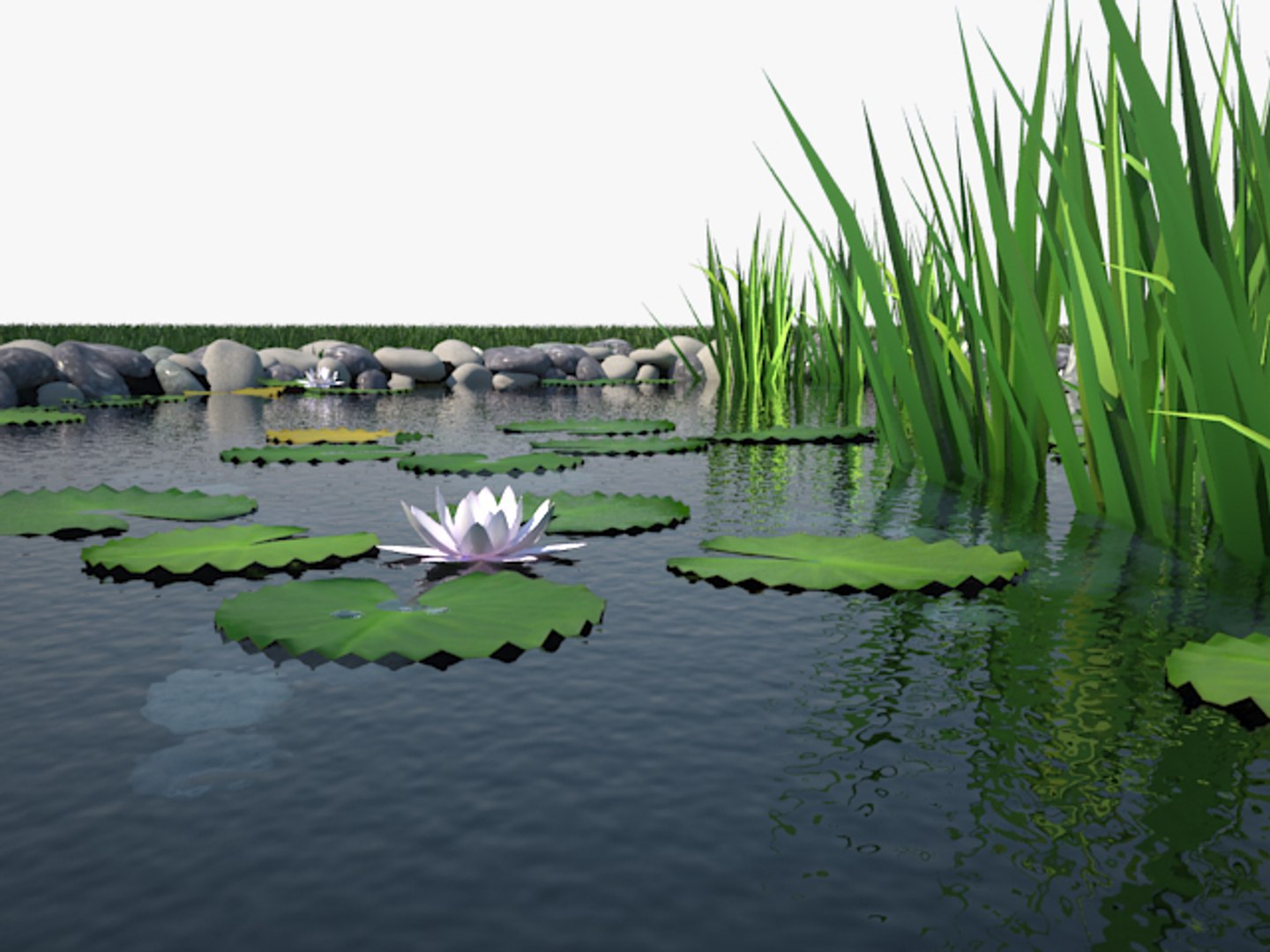 Max Pond Materials Modeled