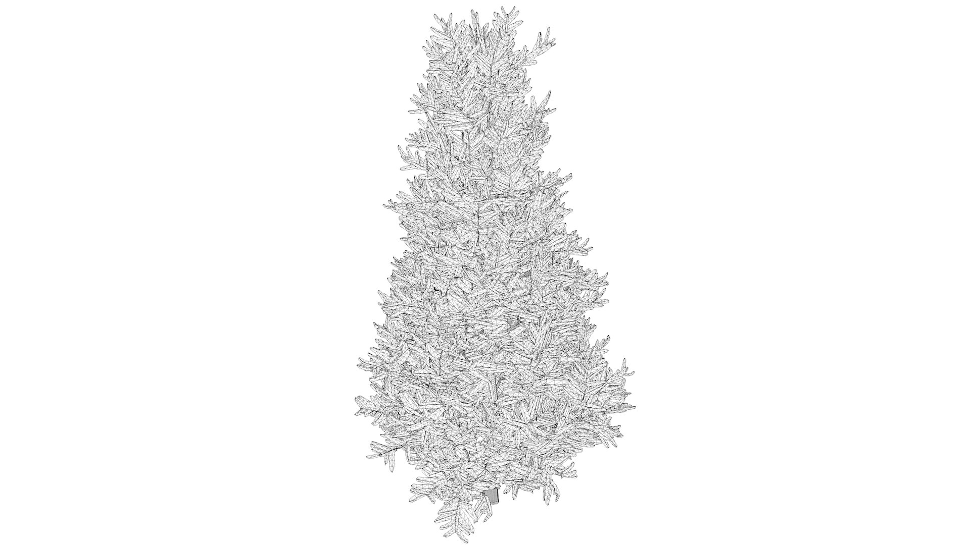 3D Fraser Fir Tree - 01 - - TurboSquid 2373463