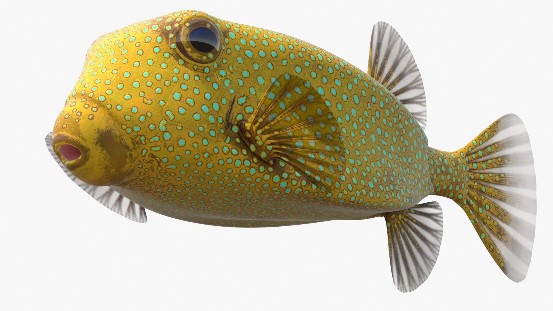 3D Yellow Spotted Boxfish Model - TurboSquid 2321495