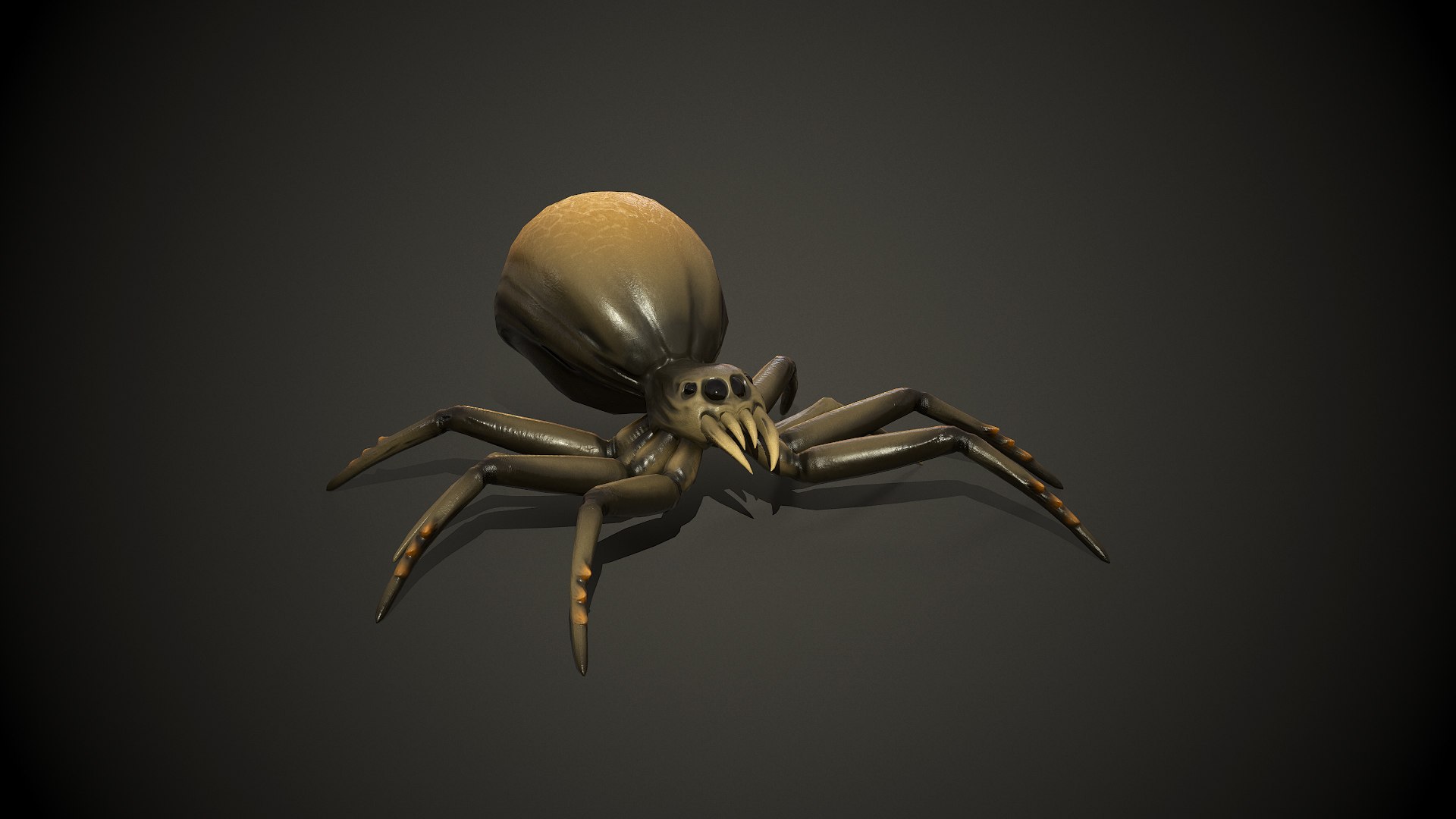 Spider Insect1 3D Model - TurboSquid 2126677