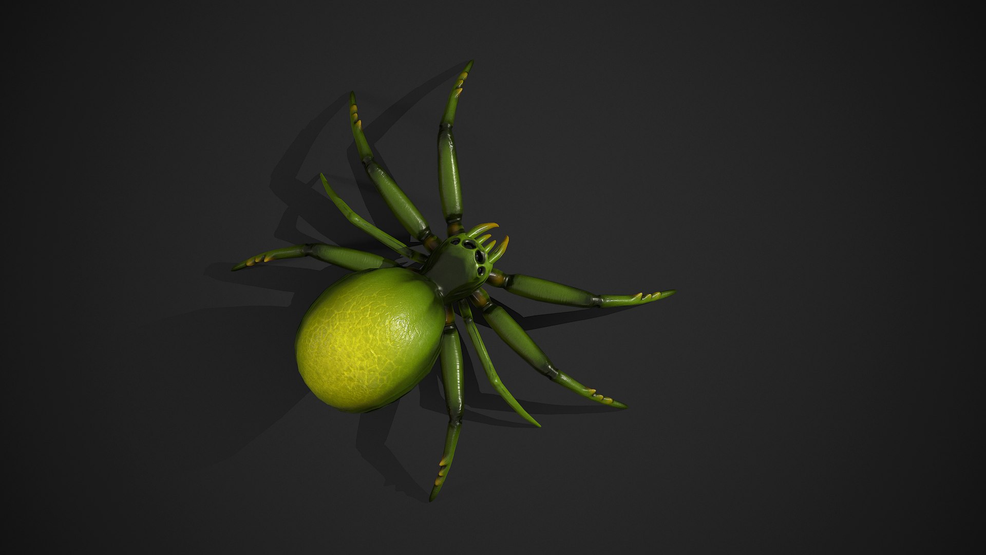 Spider Insect1 3D Model - TurboSquid 2126677