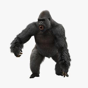 Gorilla 3D Models for Download | TurboSquid