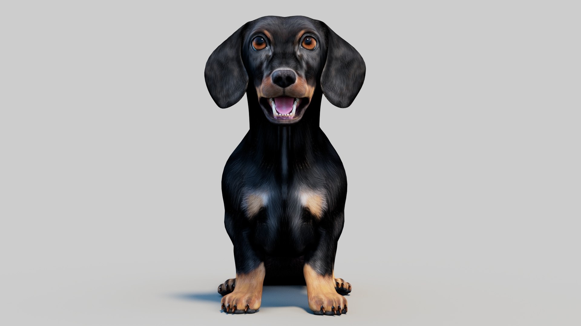 Animated Black Dachshund Dog 3D Model 3D - TurboSquid 2515344