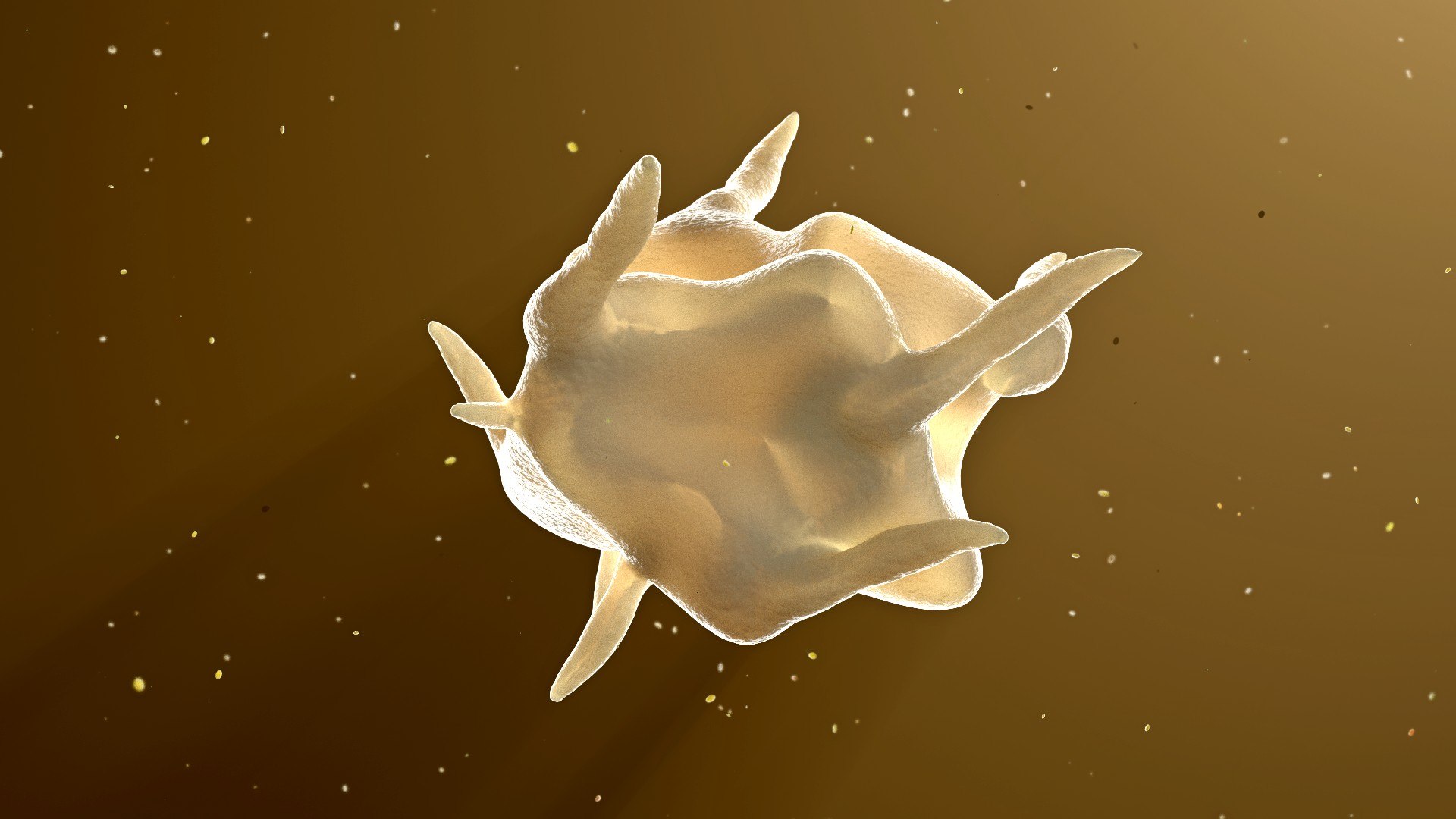 Thrombocyte 9 Platelet 3D Model - TurboSquid 1487969