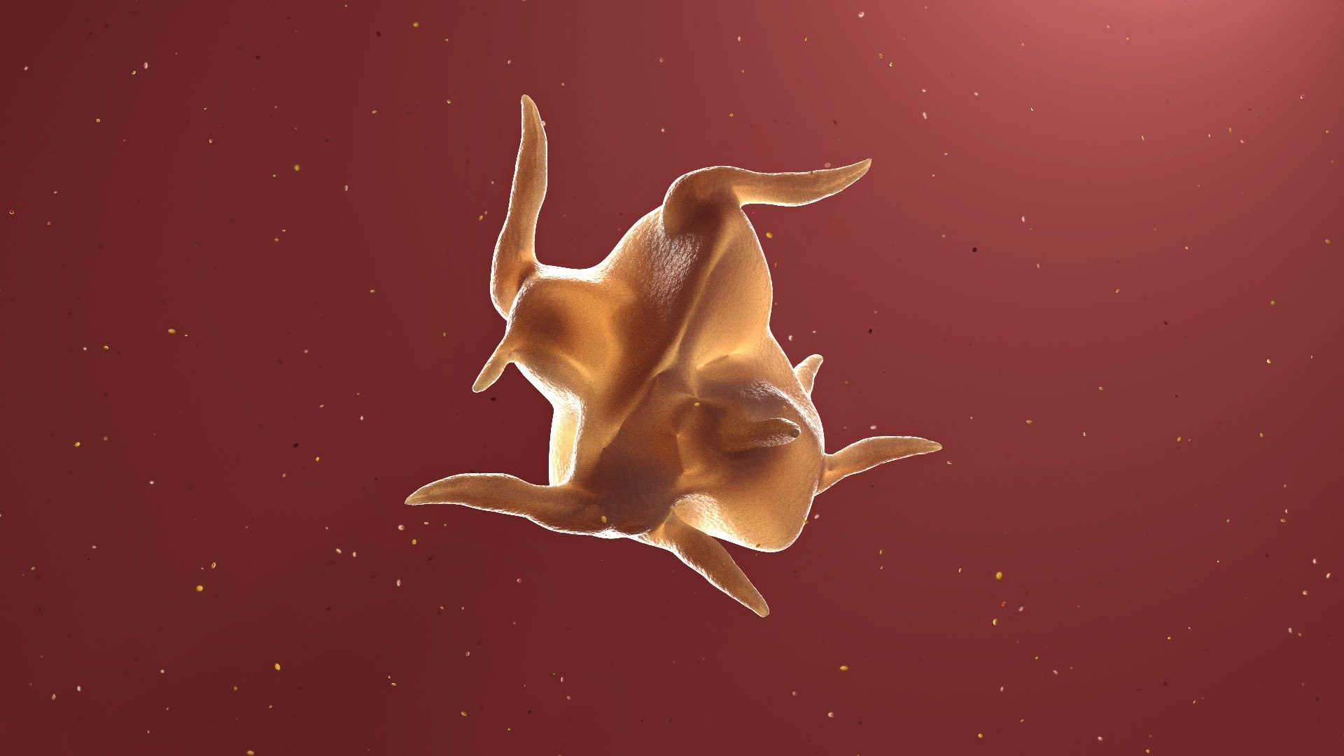 Thrombocyte 9 platelet 3D model - TurboSquid 1487969