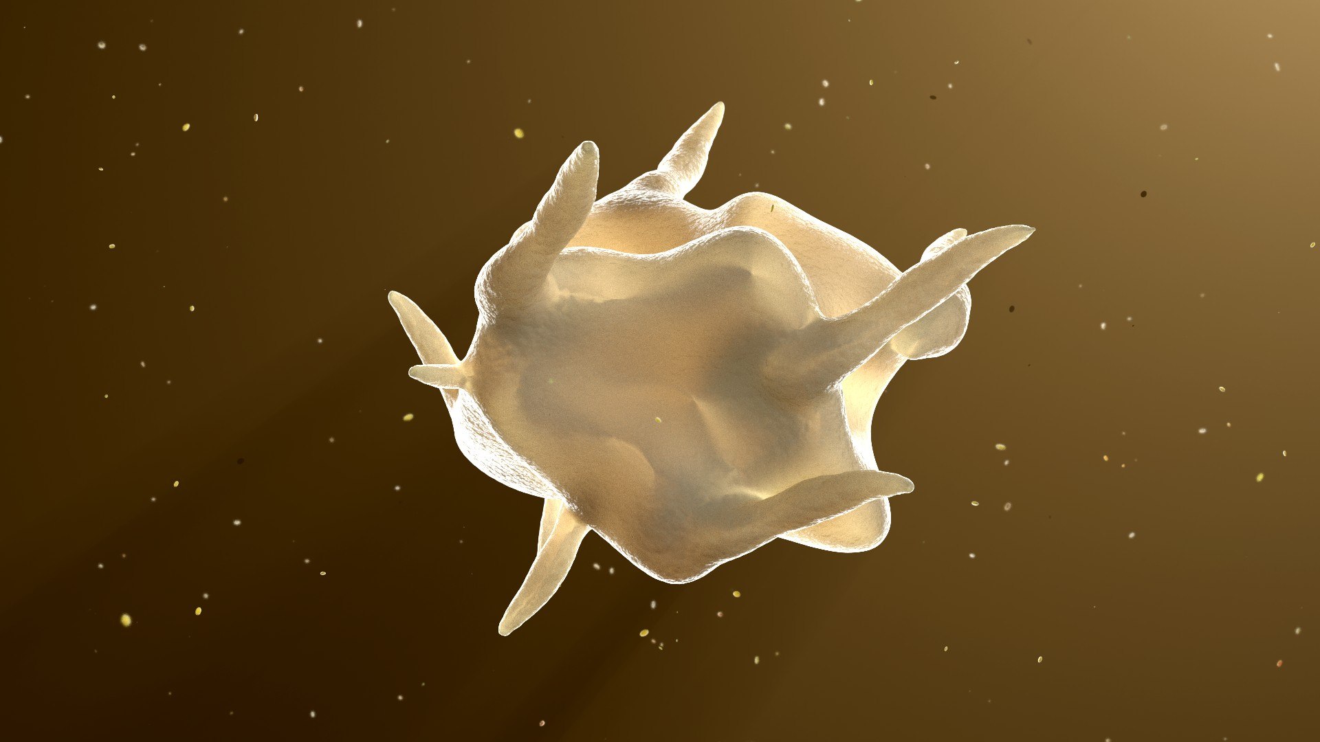 Thrombocyte 9 Platelet 3D Model - TurboSquid 1487969