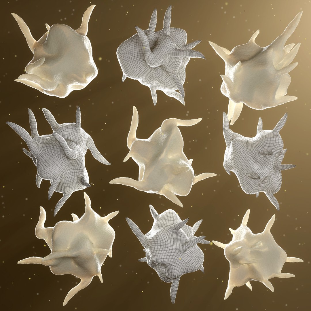 Thrombocyte 9 Platelet 3D Model - TurboSquid 1487969