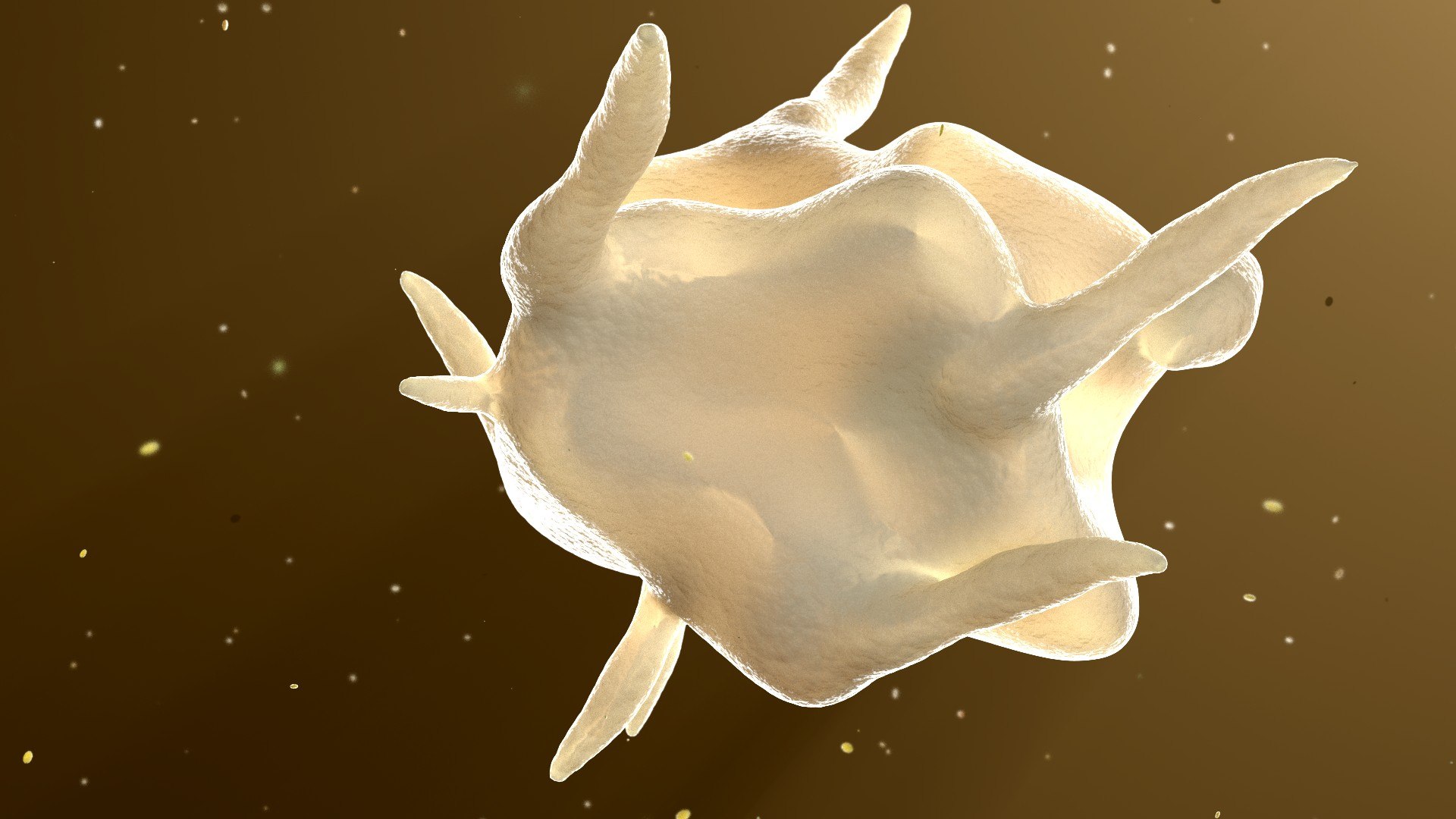 Thrombocyte 9 Platelet 3D Model - TurboSquid 1487969