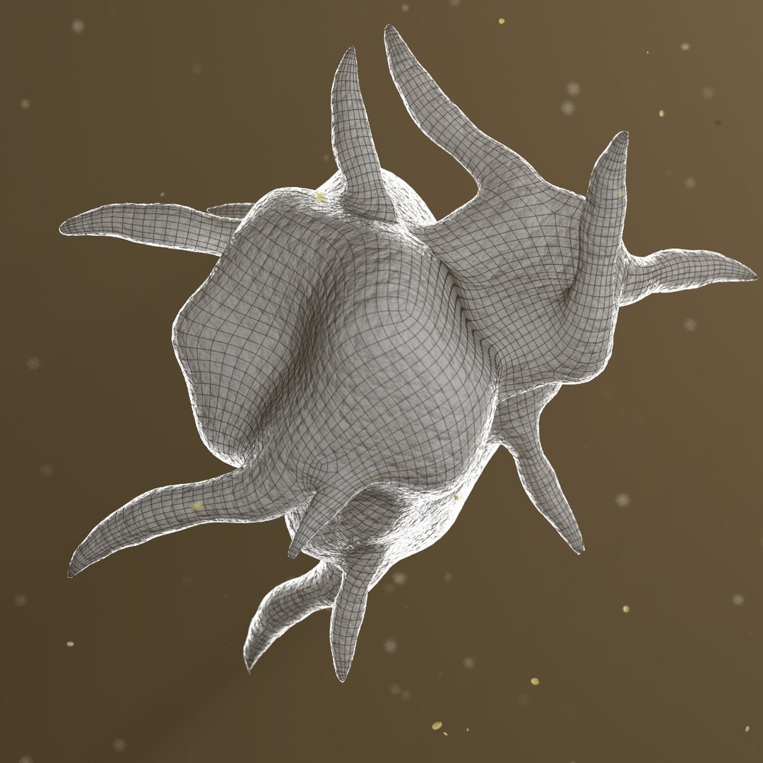 Thrombocyte 9 platelet 3D model - TurboSquid 1487969