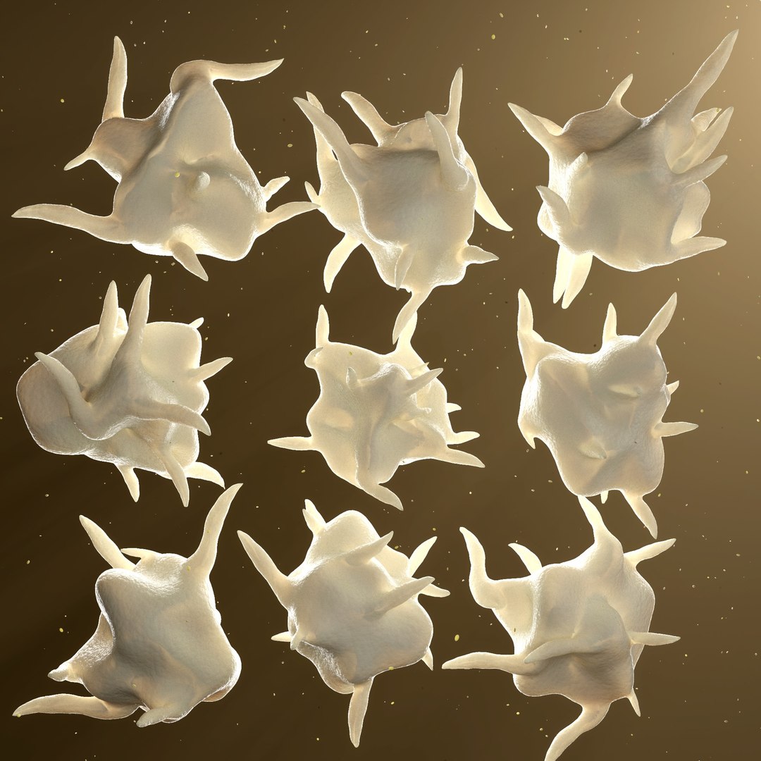 Thrombocyte 9 platelet 3D model - TurboSquid 1487969