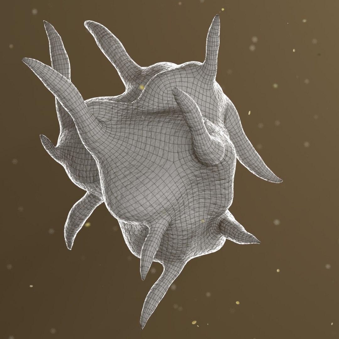 Thrombocyte 9 Platelet 3D Model - TurboSquid 1487969