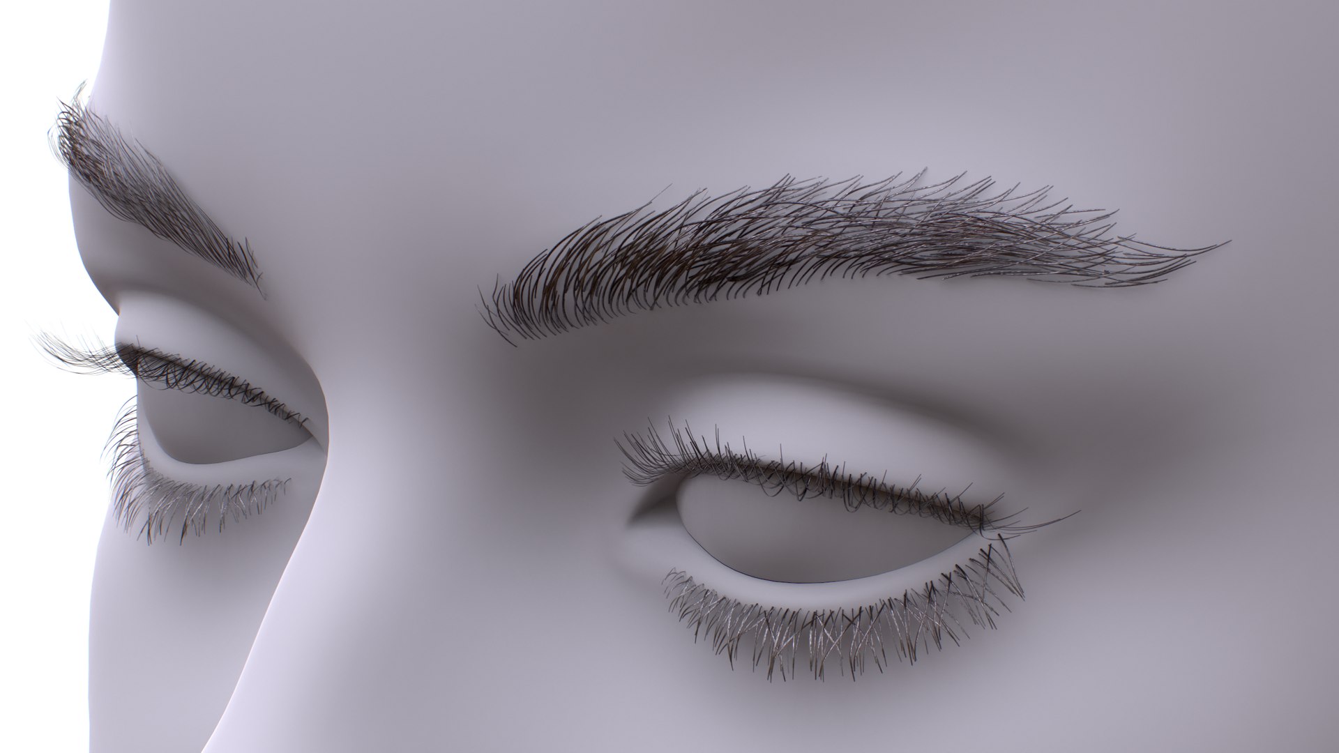 3D Model Eyelashes And Eyebrows Collection - Man - Woman - Boy - Girl ...
