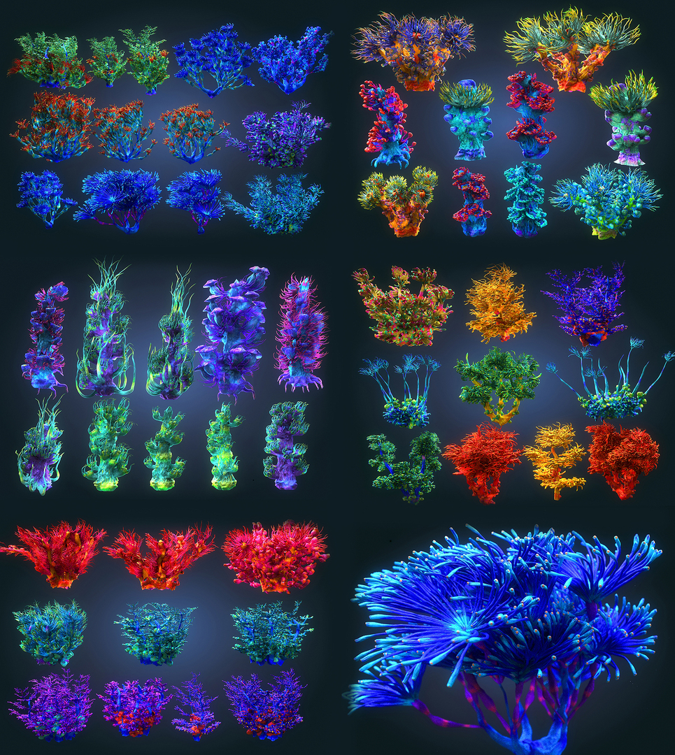Coral reef plants pack 3D model - TurboSquid 1365785