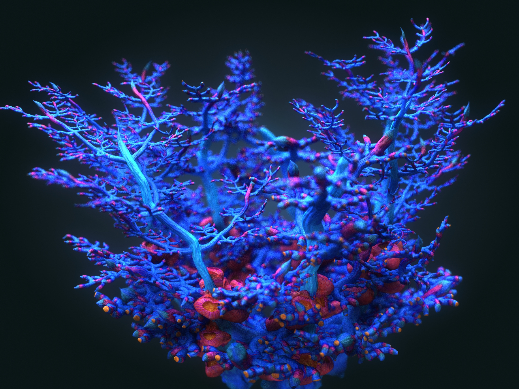 Coral reef plants pack 3D model - TurboSquid 1365785