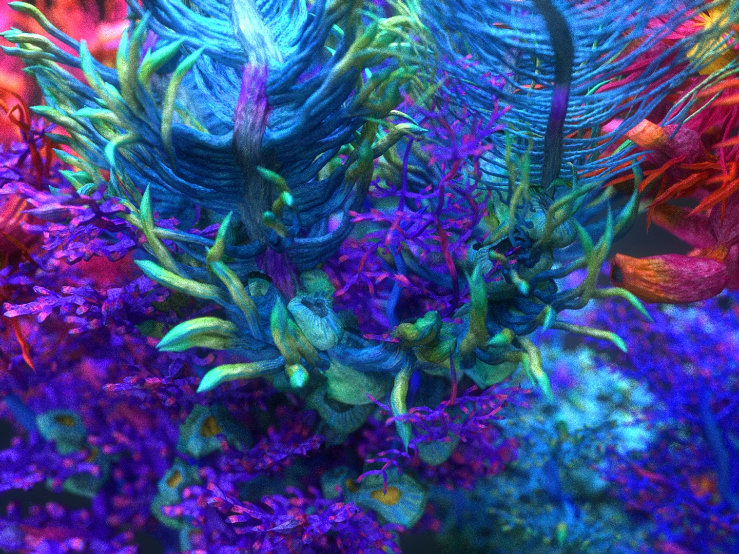 Animated Coral Reef Wallpaper