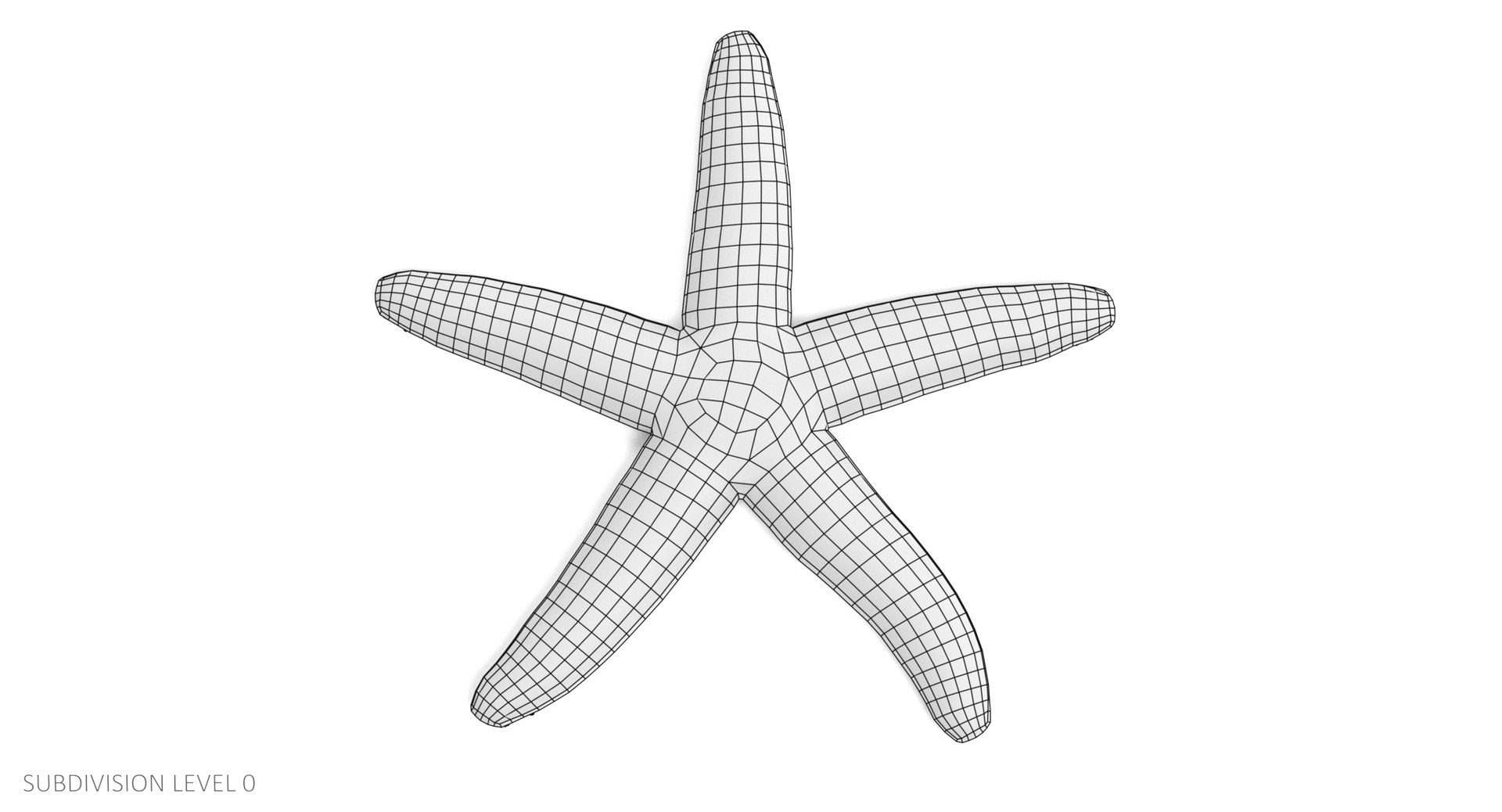 3D Common Starfish Model - TurboSquid 1228643