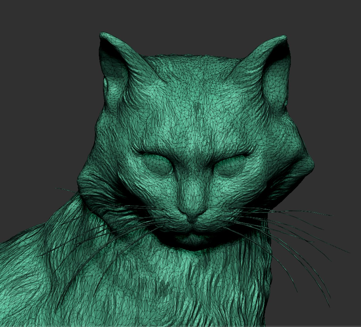 3D Fluffy Cat 28 - TurboSquid 1923808