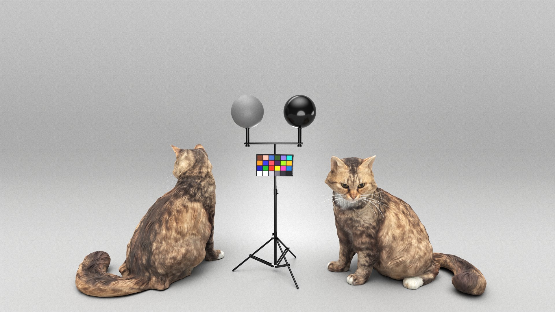 3D Fluffy Cat 28 - TurboSquid 1923808