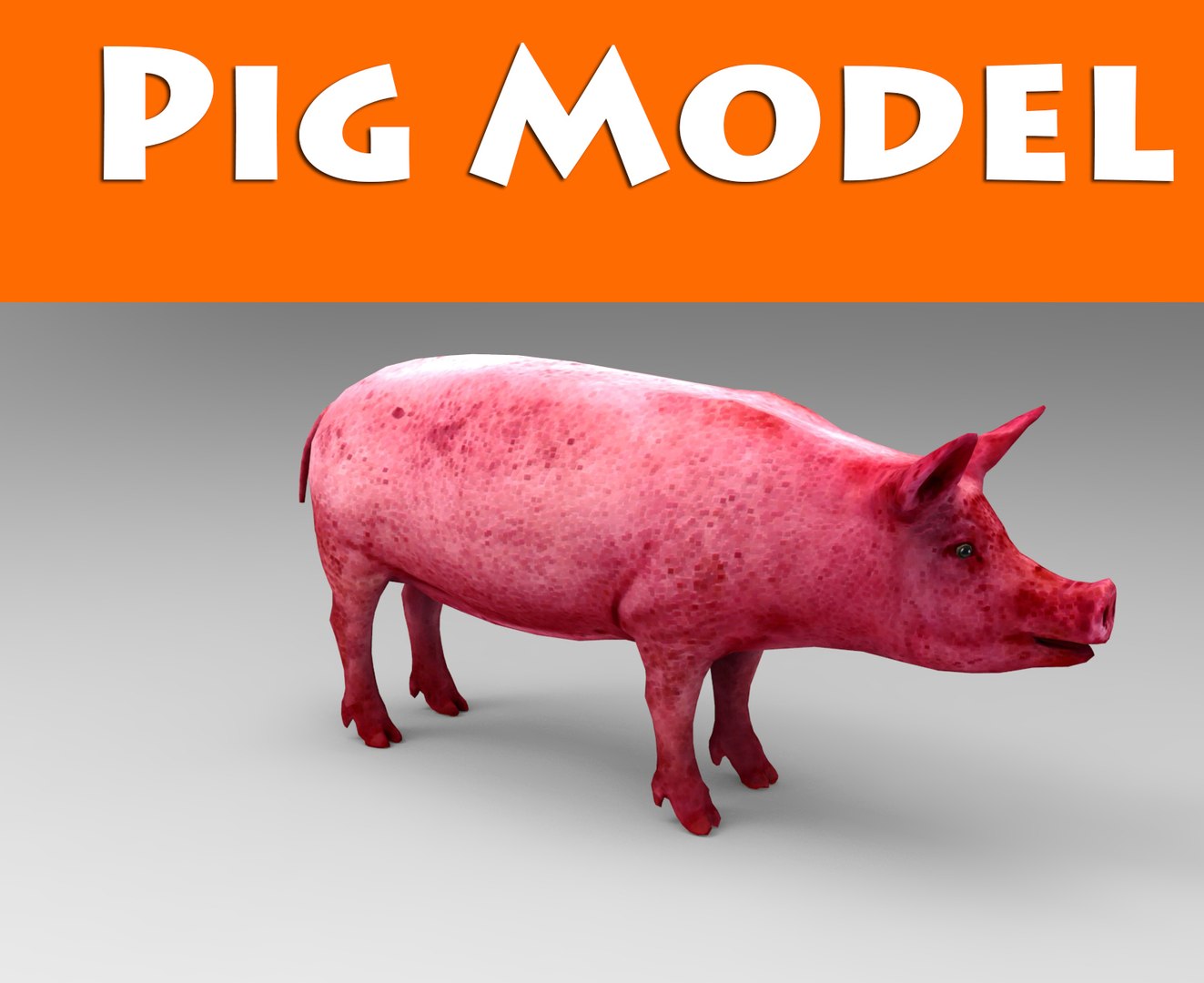 Pig 3ds