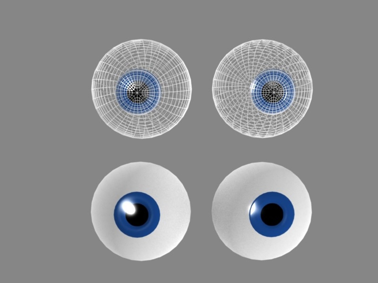 3d Model Eye