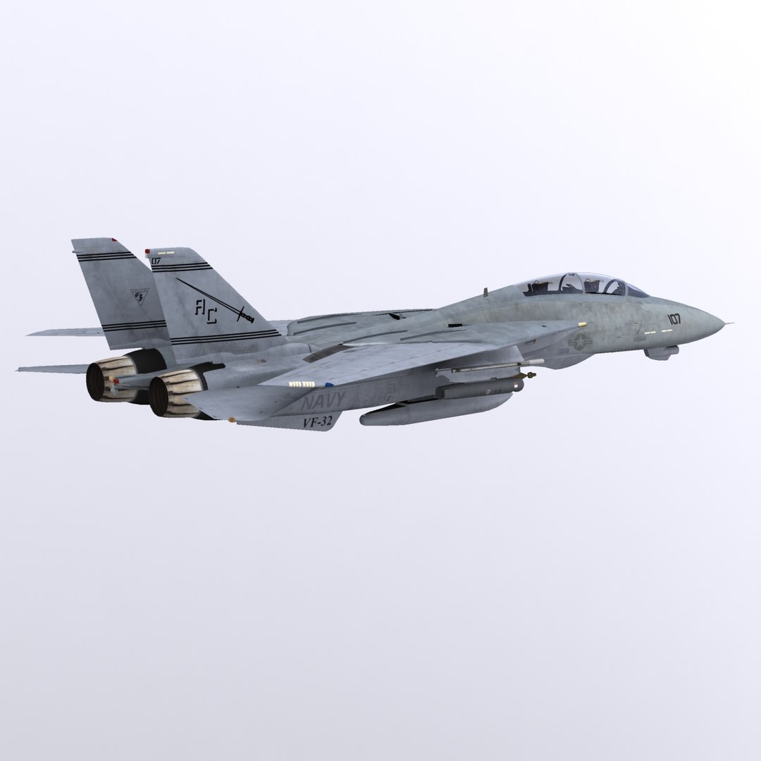 3d F-14 Fighter Jet F-14b Model
