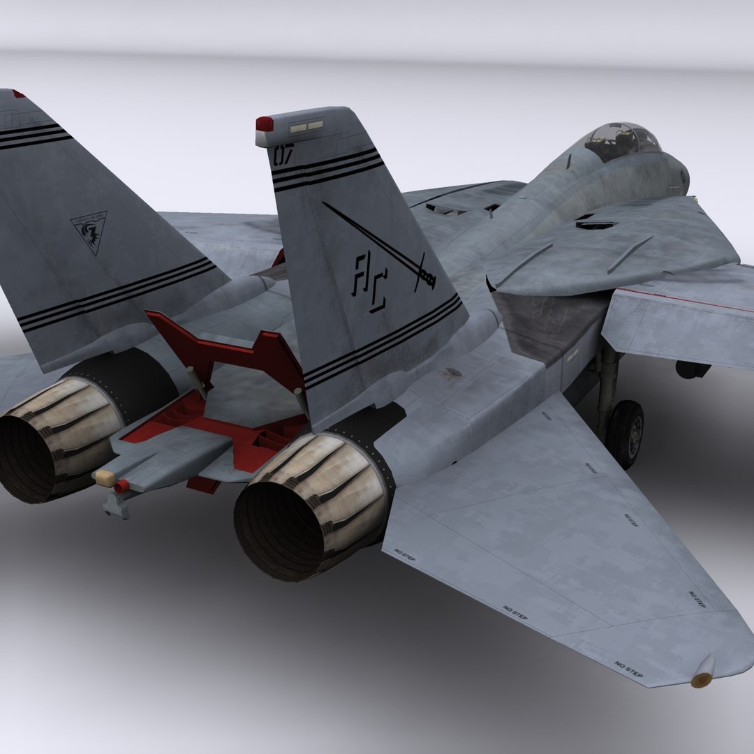 3d F-14 Fighter Jet F-14b Model