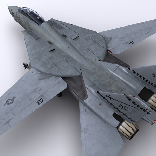 3d f-14 fighter jet f-14b model