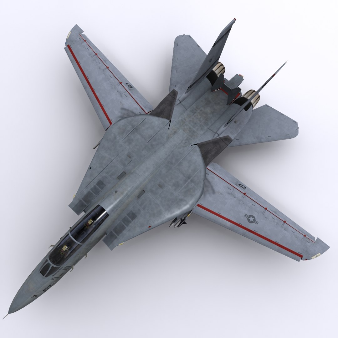 3d F-14 Fighter Jet F-14b Model