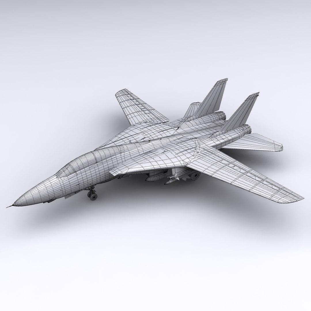 3d F-14 Fighter Jet F-14b Model