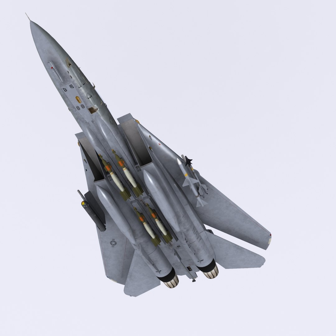 3d F-14 Fighter Jet F-14b Model