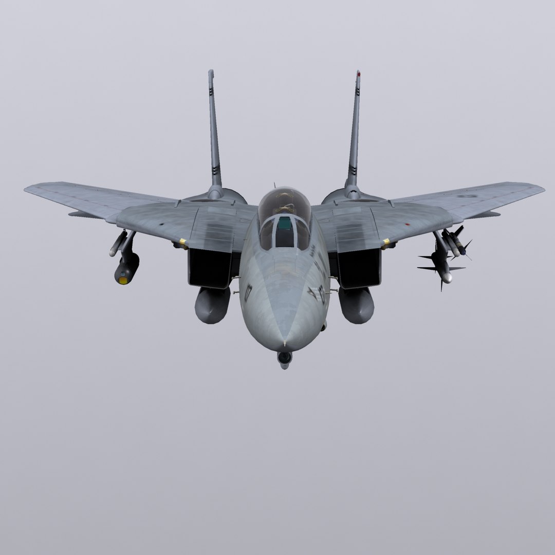 3d F-14 Fighter Jet F-14b Model