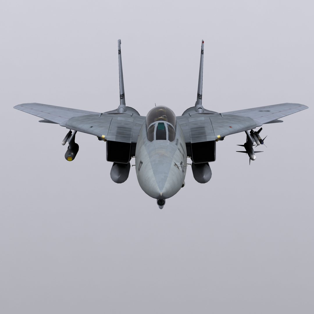 3d f-14 fighter jet f-14b model