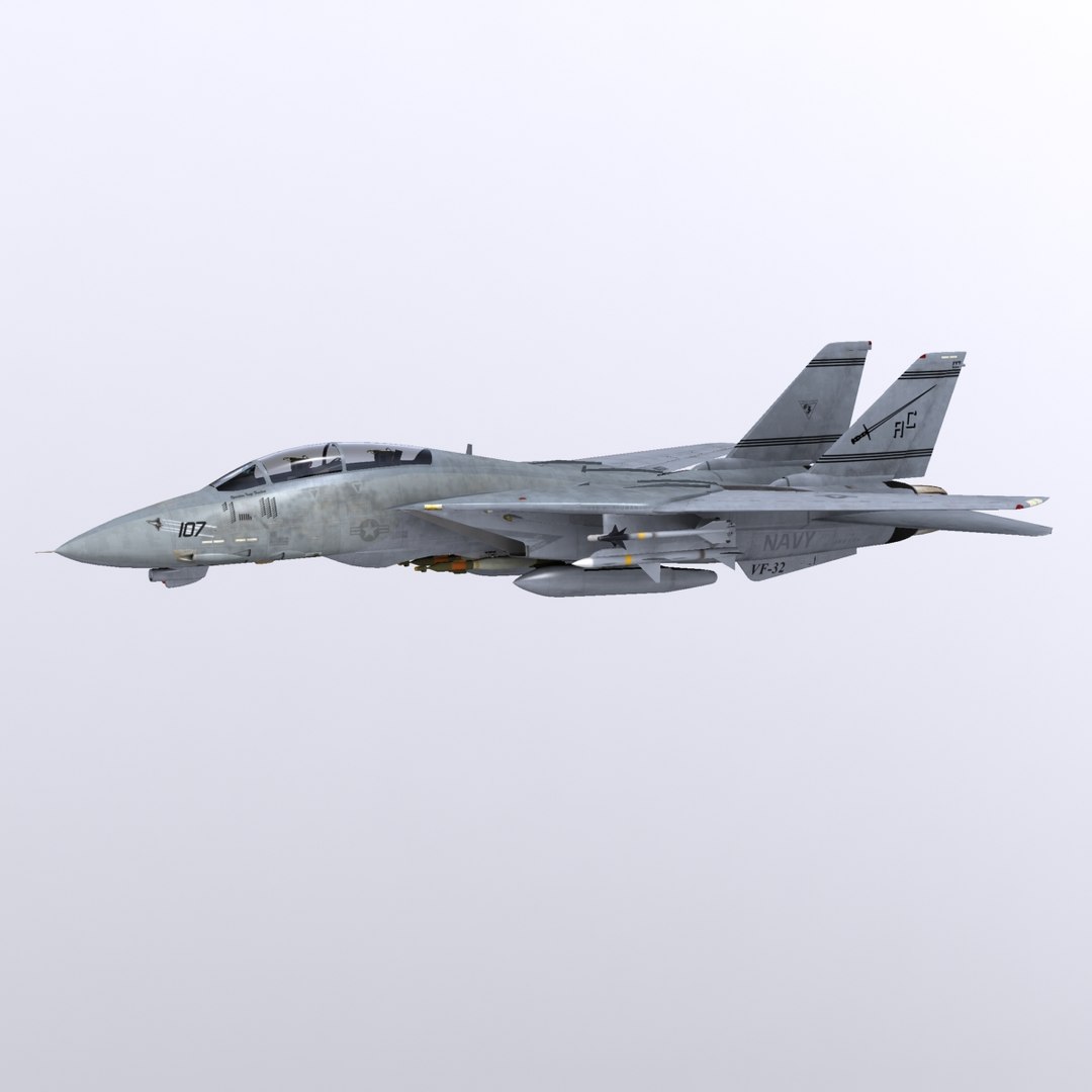 3d F-14 Fighter Jet F-14b Model