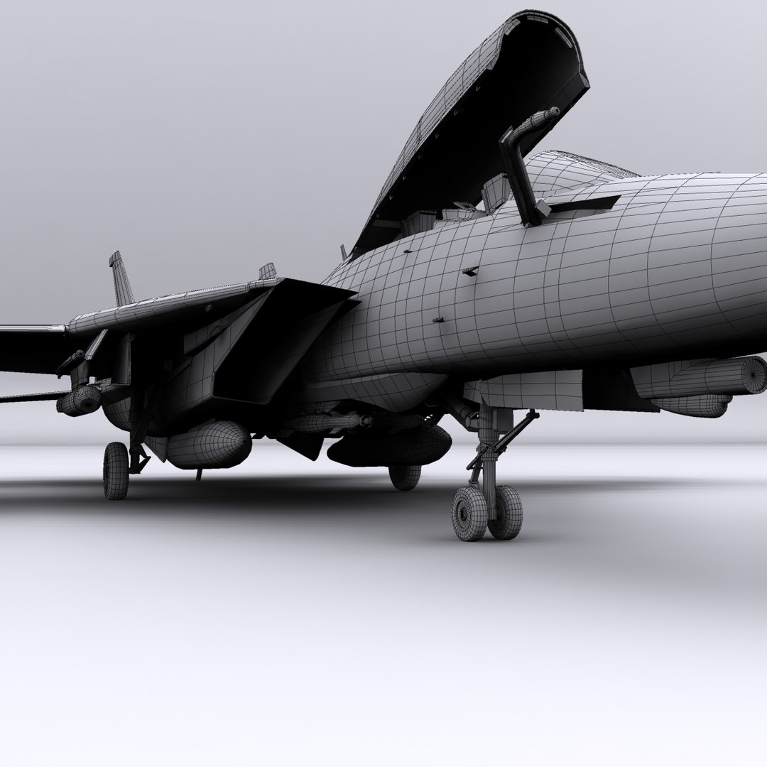 3d F-14 Fighter Jet F-14b Model