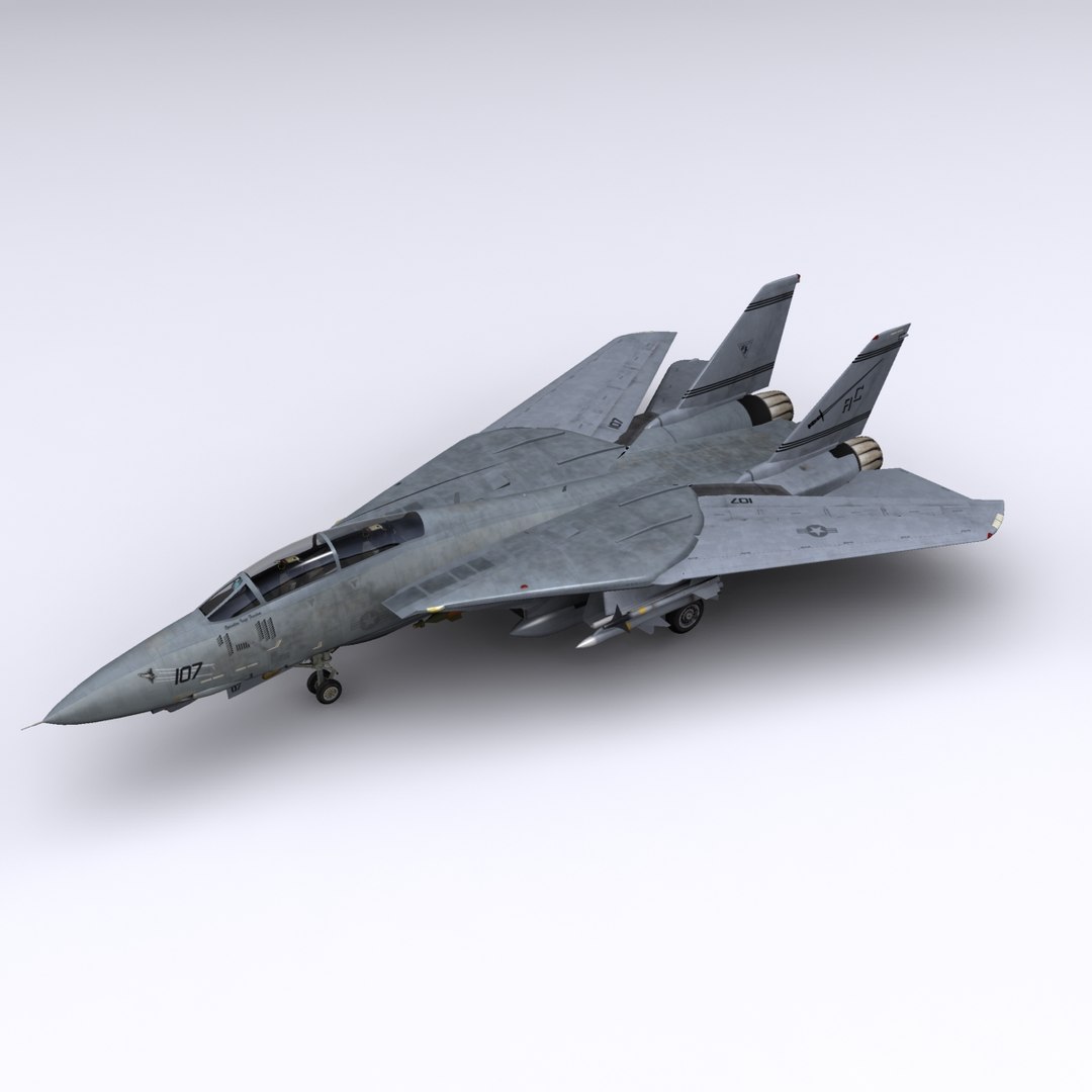 3d F-14 Fighter Jet F-14b Model