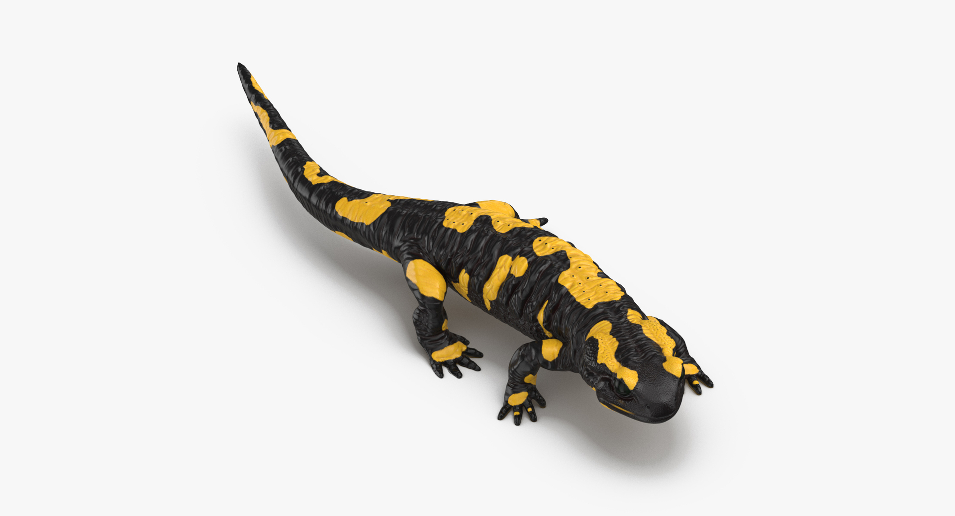 3D Salamander Walking - TurboSquid 1375616