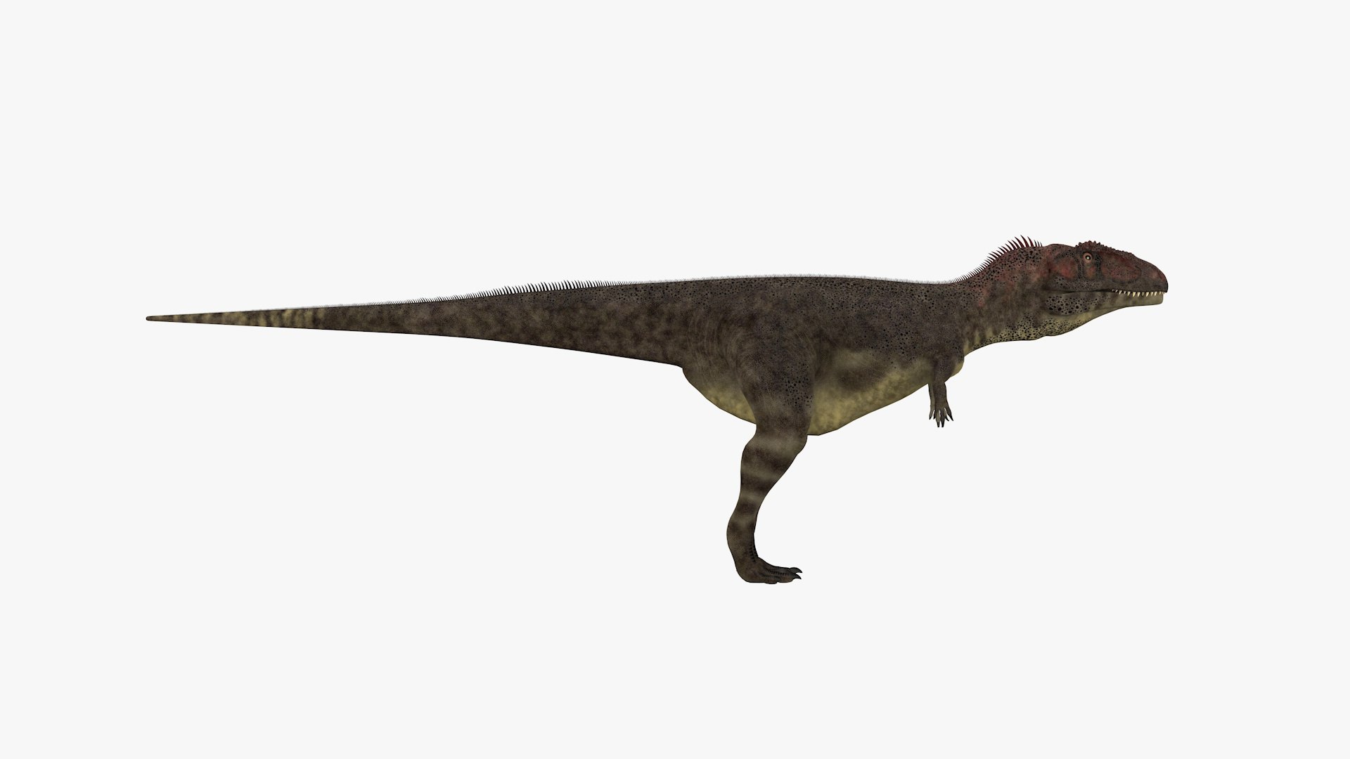 3D Mapusaurus Dinosaur Model - TurboSquid 2365878