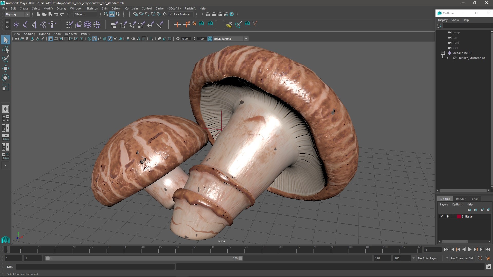 3D Shiitake - TurboSquid 2215805